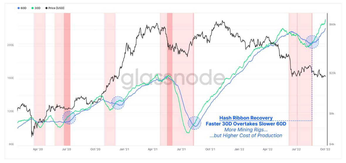 Bitcoin’s Hashrate Has Hit a New High. What Does That Mean for BTC?