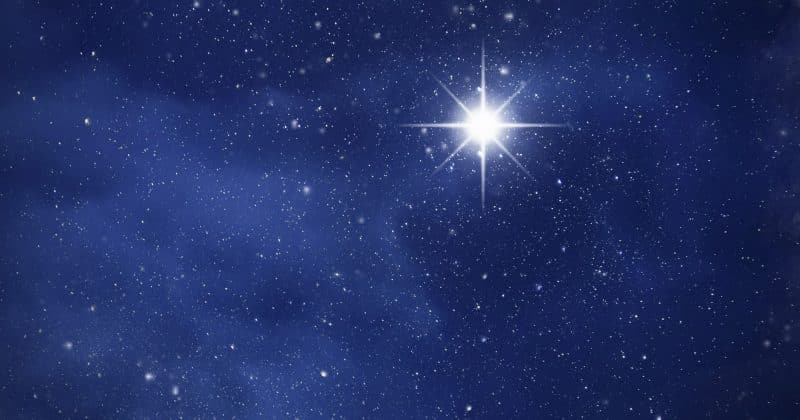 Elliott Management builds A$1B stake in Northern Star, its biggest ...