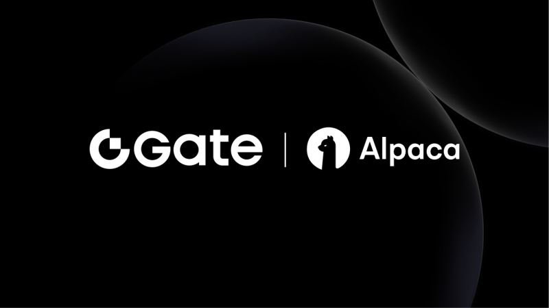 Gate Partners with Alpaca for Upcoming Real Stock Trading Access for ...